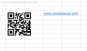 Generación de CÓDIGO QR en Excel - Paso a Paso - Ninja del Excel