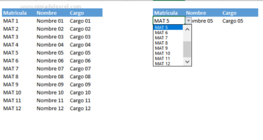 Función BUSCAR en Excel: Paso a Paso Completo - Ninja del Excel
