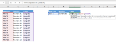 Función BUSCAR en Excel: Paso a Paso Completo - Ninja del Excel