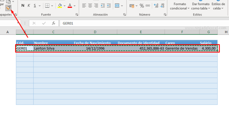 Máscara para Documento de Identidad en Excel - Ninja del Excel