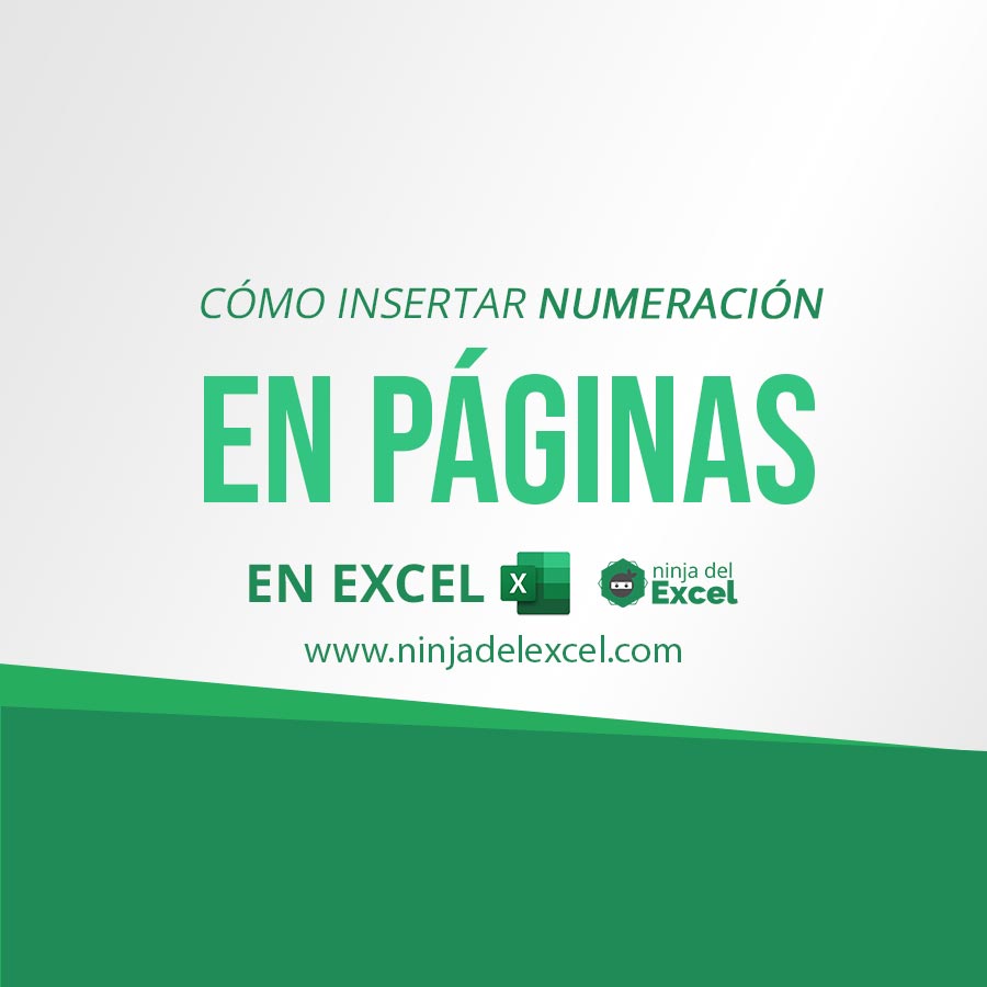 Cómo Insertar Numeración en Páginas de Excel - Ninja del Excel