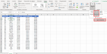 Cómo Agrupar Datos en Excel - Esquema - Ninja del Excel