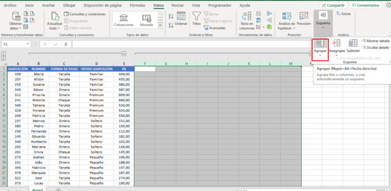 Cómo Agrupar Datos en Excel - Esquema - Ninja del Excel