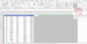 Cómo Agrupar Datos en Excel - Esquema - Ninja del Excel
