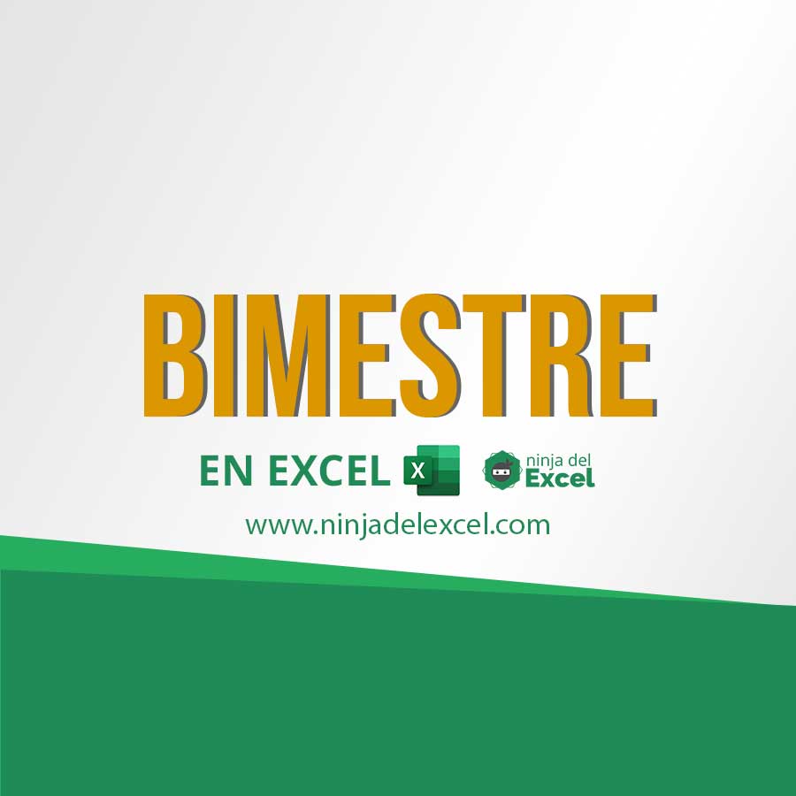 Bimestre en Excel: Cómo Encontrar y Trabajar - Ninja del Excel