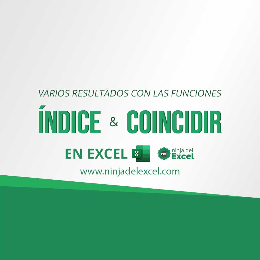 Obtener Varios Resultados con las Funciones INDICE y COINCIDIR en Excel ...