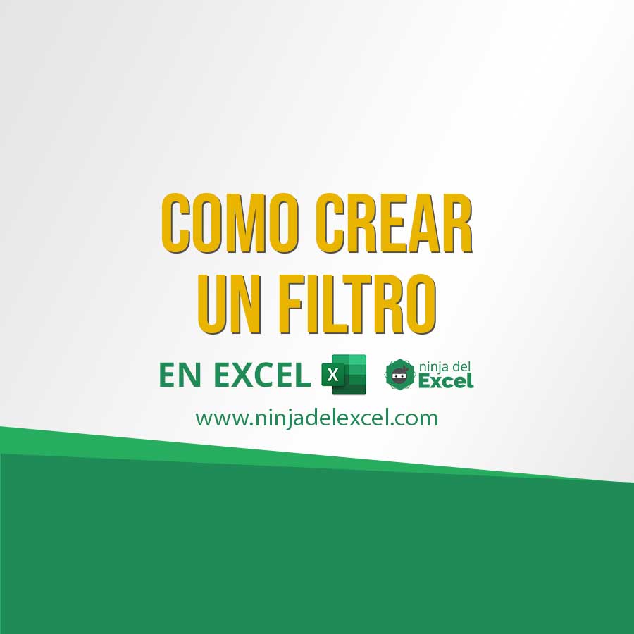 Como Crear un Filtro en Excel. paso a paso - Ninja del Excel