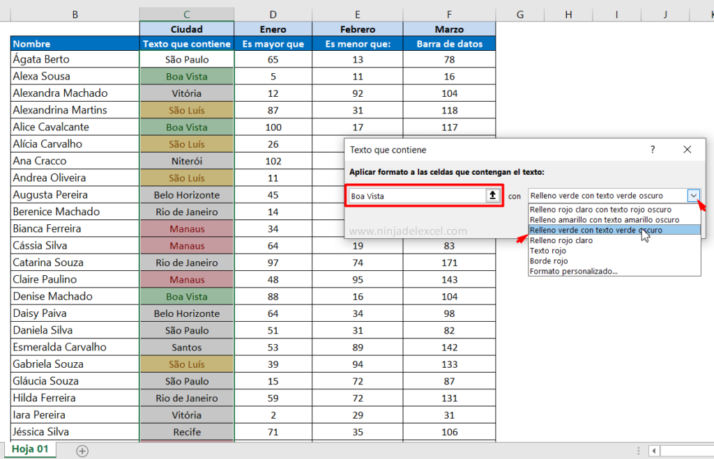 Como Hacer Formato Condicional en Excel - Ninja del Excel