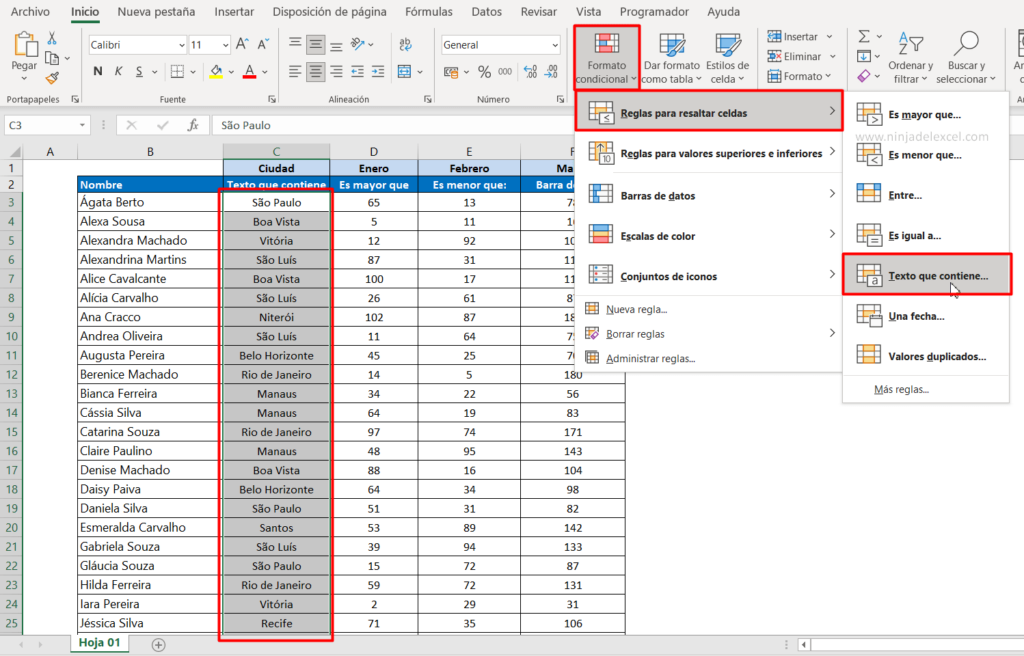 Como Hacer Formato Condicional en Excel - Ninja del Excel
