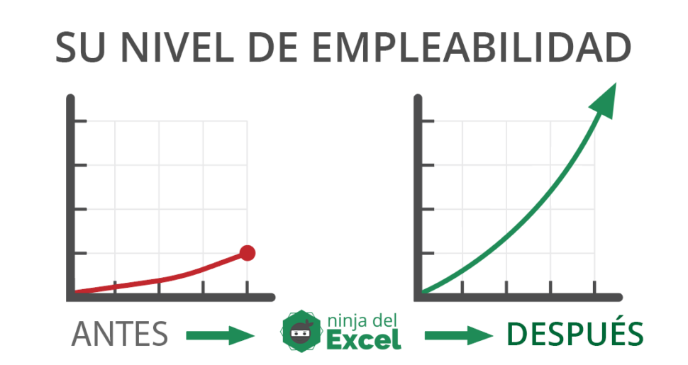 Curso Dashboards - Ninja del Excel - Ninja del Excel