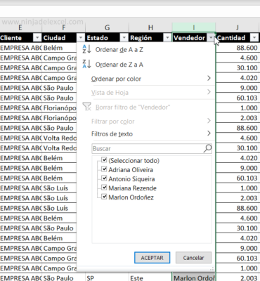 Como Hacer Segmentación de Datos en Excel - Ninja del Excel