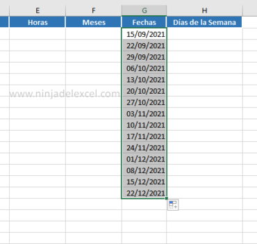 Diferentes formas de Utilizar el Autorrelleno en Excel - Ninja del Excel