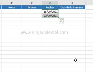 Diferentes formas de Utilizar el Autorrelleno en Excel - Ninja del Excel
