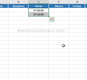 Diferentes formas de Utilizar el Autorrelleno en Excel - Ninja del Excel