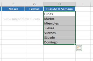 Diferentes formas de Utilizar el Autorrelleno en Excel - Ninja del Excel