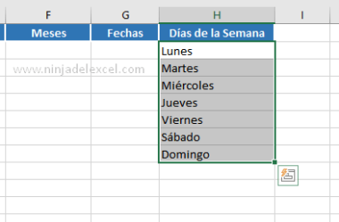 Diferentes formas de Utilizar el Autorrelleno en Excel - Ninja del Excel