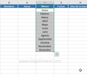 Diferentes formas de Utilizar el Autorrelleno en Excel - Ninja del Excel
