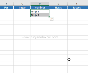 Diferentes formas de Utilizar el Autorrelleno en Excel - Ninja del Excel