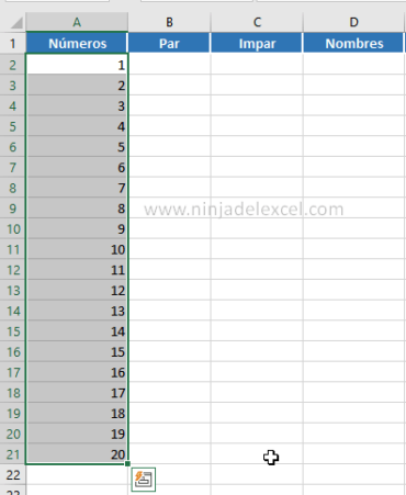 Diferentes formas de Utilizar el Autorrelleno en Excel - Ninja del Excel