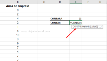 Funciones CONTARA y CONTAR en Excel - Ninja del Excel