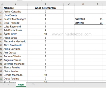 Funciones CONTARA y CONTAR en Excel - Ninja del Excel