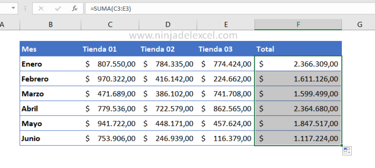 Función SUMA en Excel - (Como Sumar Paso a Paso) - Ninja del Excel