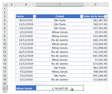 Sumar Datos Filtrados en Excel – Función de SUBTOTALES - Ninja del Excel