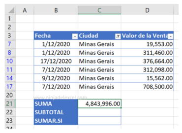 Sumar Datos Filtrados en Excel – Función de SUBTOTALES - Ninja del Excel