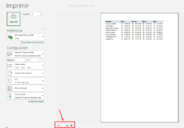 ¿Problemas para Ajustar la Impresión en Excel? - Ninja del Excel