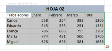 Como Borrar el Formato en Excel - Ninja del Excel