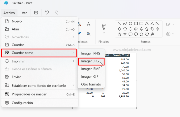 Como Guardar Hojas de Cálculo Excel Como Imagen - Ninja del Excel