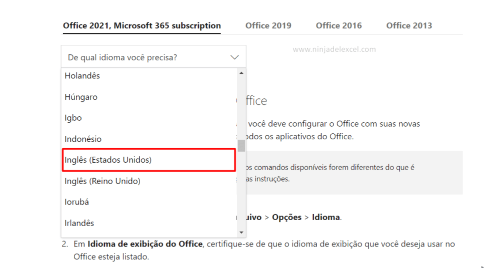 Como Cambiar el Idioma de Excel - Ninja del Excel