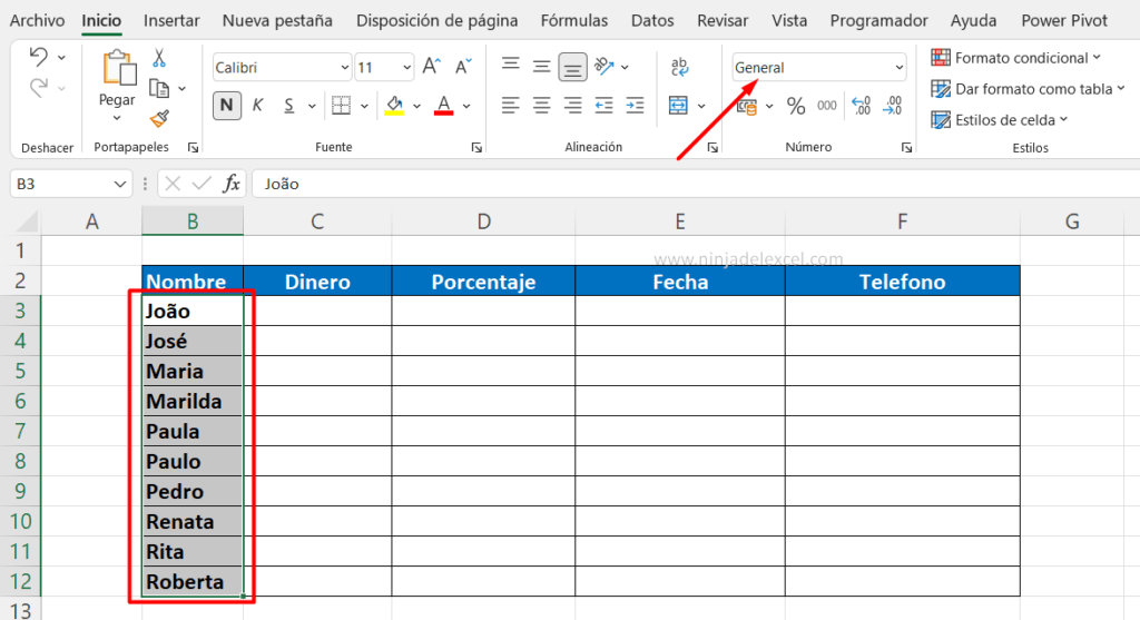 Formatear Celda en Excel – Aprende Paso a Paso - Ninja del Excel