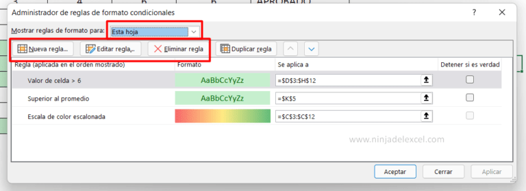Como Borrar el Formato Condicional en Excel - Ninja del Excel