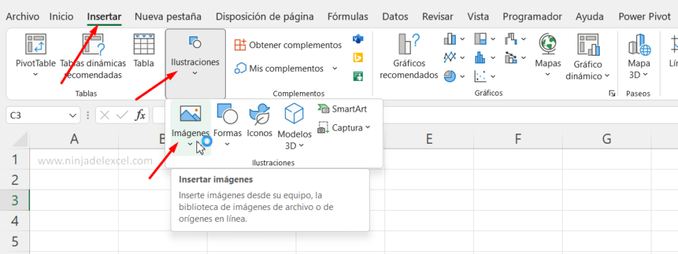 Como Insertar una Imagen en una Celda en Excel - Ninja del Excel