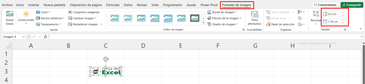 Como Insertar una Imagen en una Celda en Excel - Ninja del Excel