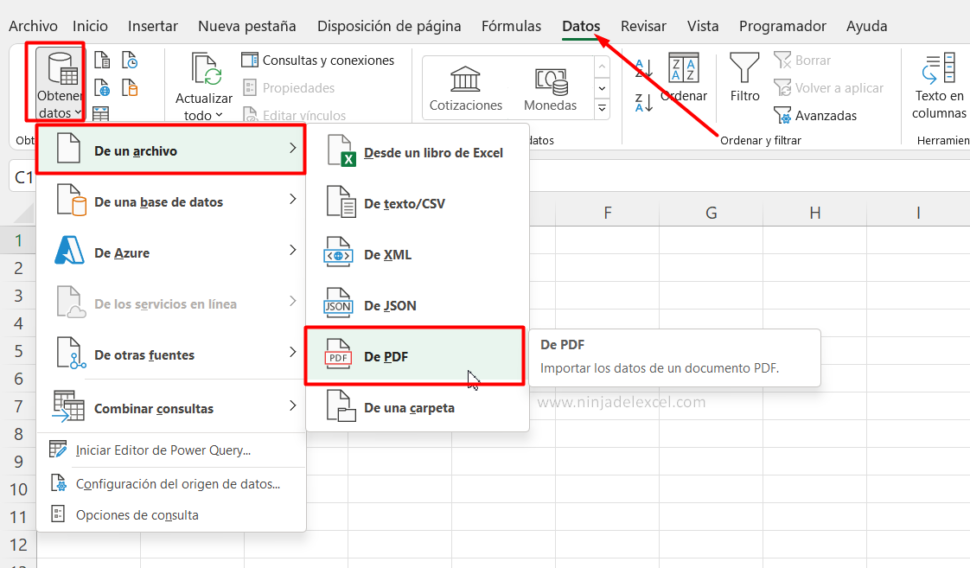 Como Importar PDF a Excel con Power Query - Ninja del Excel