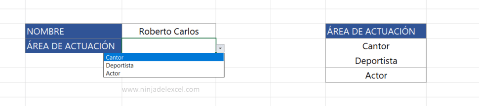 Menú desplegable en Excel - Paso a Paso - Ninja del Excel