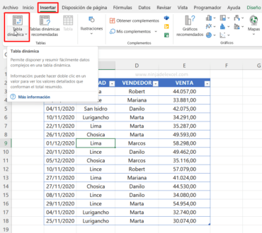 Ordenar Datos en una Tabla Dinámica - Ninja del Excel