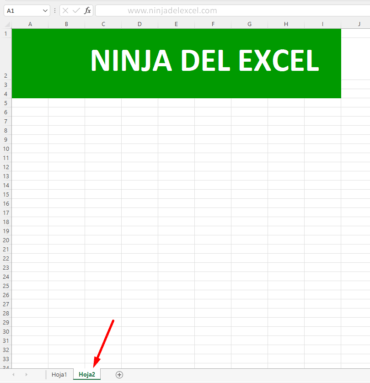 Cómo Duplicar una Pestaña de Excel - ¡Muy simple! - Ninja del Excel