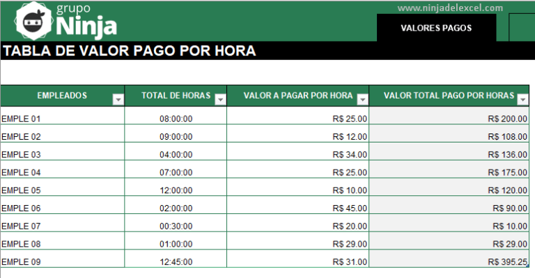 Plantilla de Pago por Horas con Gráfico en Excel - Ninja del Excel