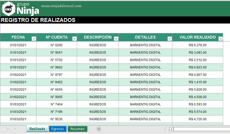 Modelo de Plantilla de DRE en Excel para Download - Ninja del Excel