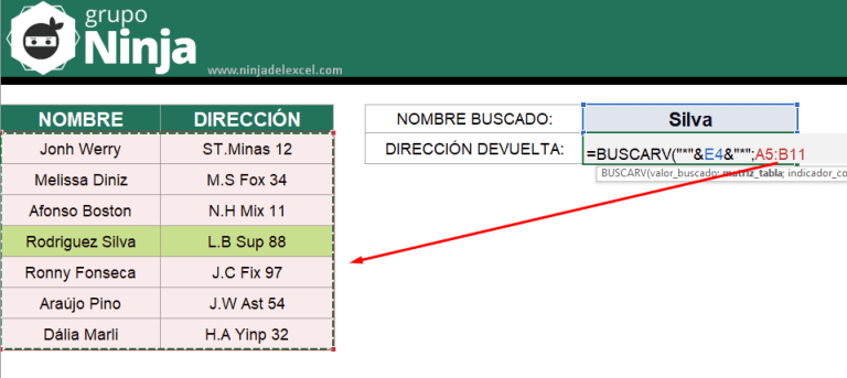 BUSCARV Con Carácter Comodín en Excel - Ninja del Excel