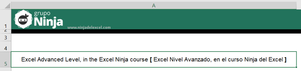 Cómo Colocar Corchetes en Excel - Ninja del Excel