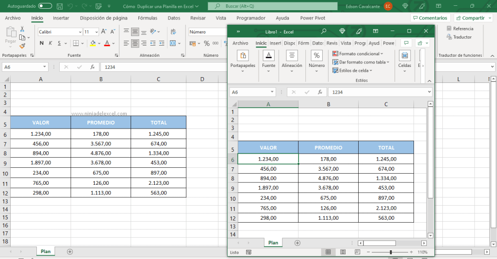 Cómo Duplicar una Planilla en Excel - Ninja del Excel