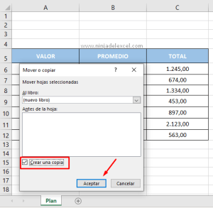 Cómo Duplicar una Planilla en Excel - Ninja del Excel