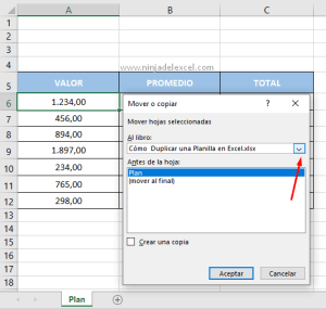 Cómo Duplicar una Planilla en Excel - Ninja del Excel