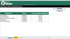 Control de Ingresos y Egresos Mensuales en Excel - Ninja del Excel