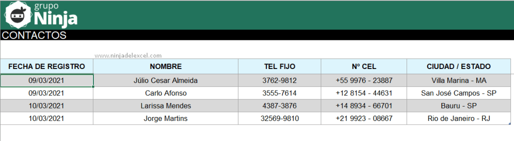 Plantilla de Contactos en Excel Para Descargar - Ninja del Excel