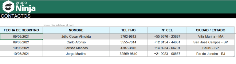Plantilla de Contactos en Excel Para Descargar - Ninja del Excel